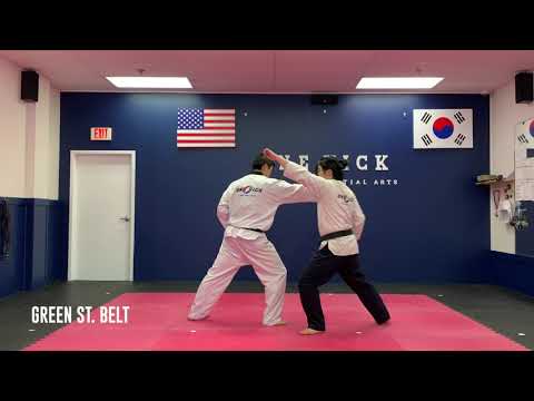 Self-defense Technique (Green St. Belt)