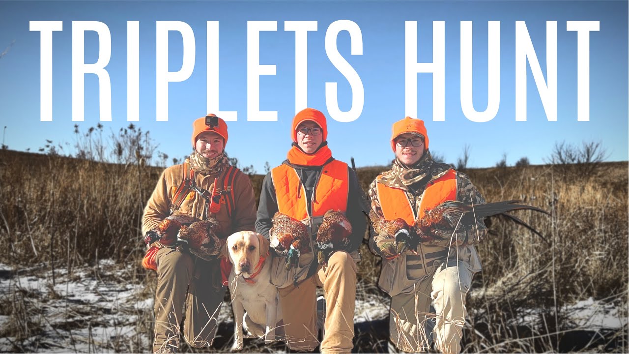 Triplets Hunt - YouTube