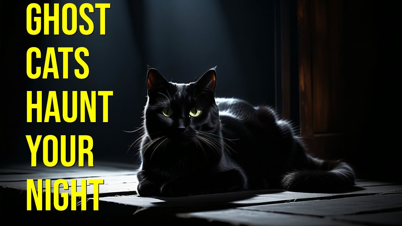 Phantom Felines Unsettling Tales of Ghostly Cats: You Won't Sleep ...