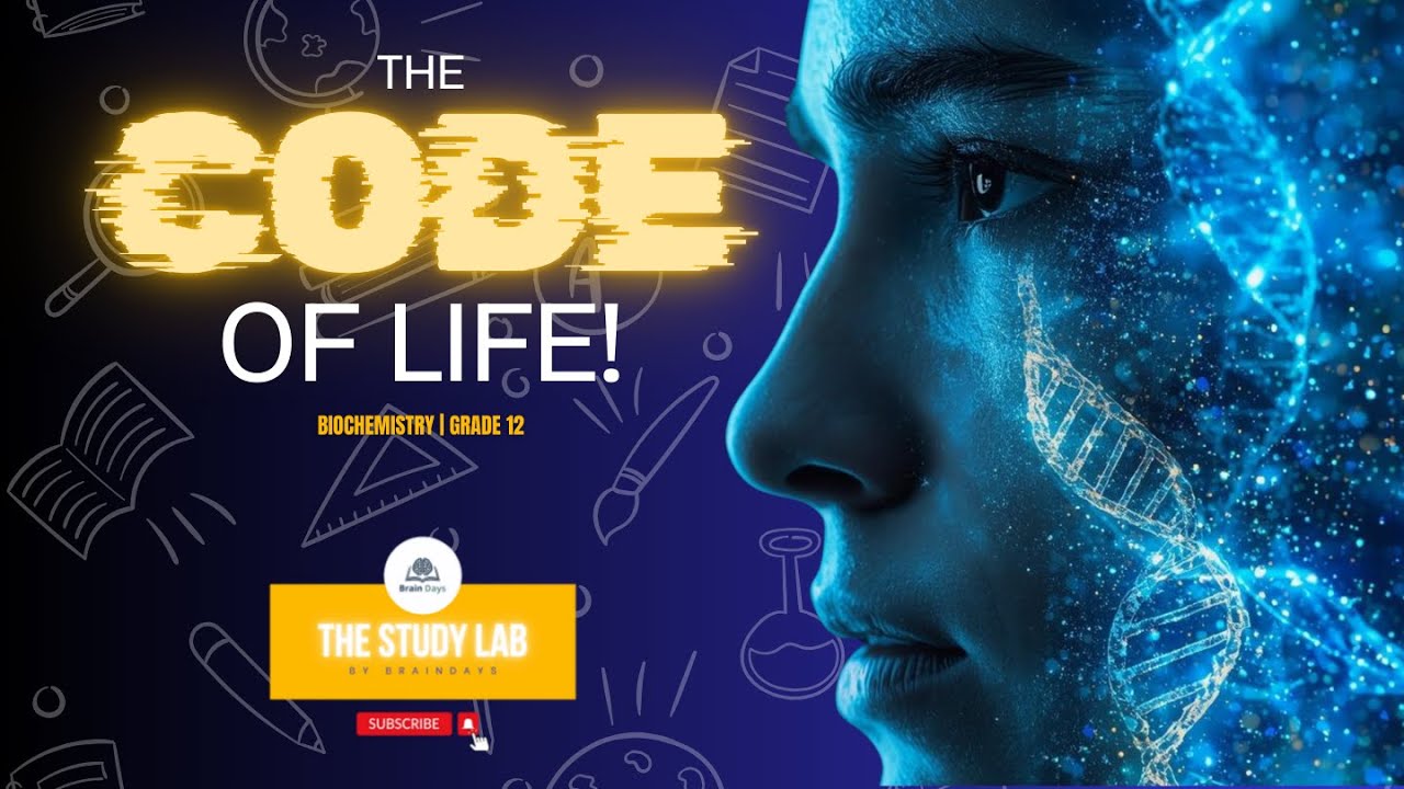 DNA Explained: How Your Genes Control Who You Are | Grade 12 Biology ...