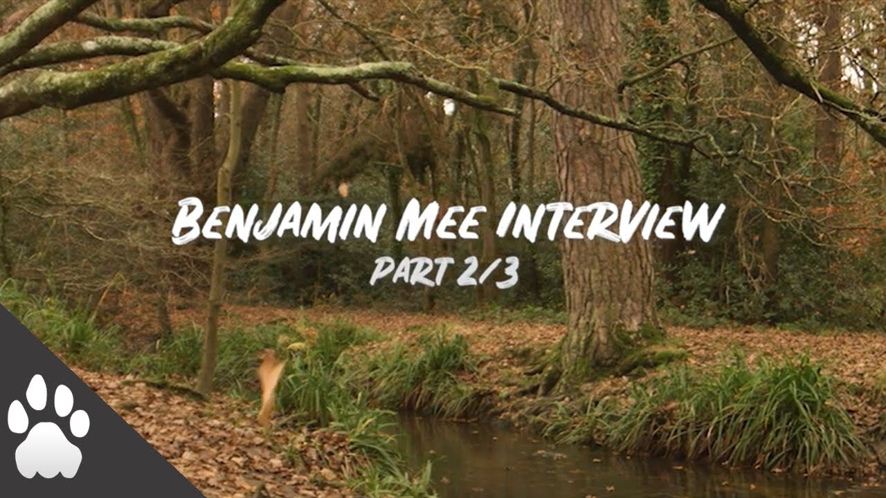 Big Cats of Britain: Benjamin Mee Interview - Part 2/3 - YouTube