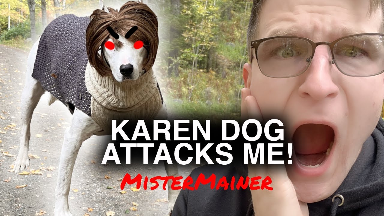 KAREN ATTACKS ME!! | SO SCARY!!! - YouTube