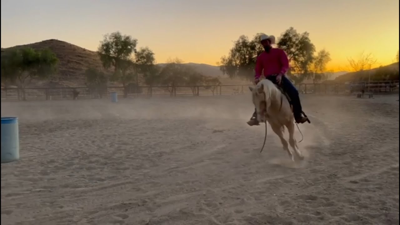 The Happy Horses® Reality TV Show Season 2 Episode 2 - Old Canyon ...