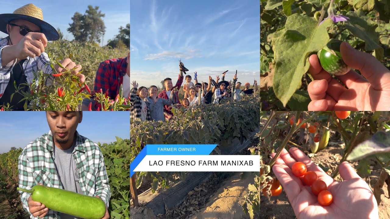 Lao and Hmong Farm Community in Fresno, California | Documentary | Lao ...