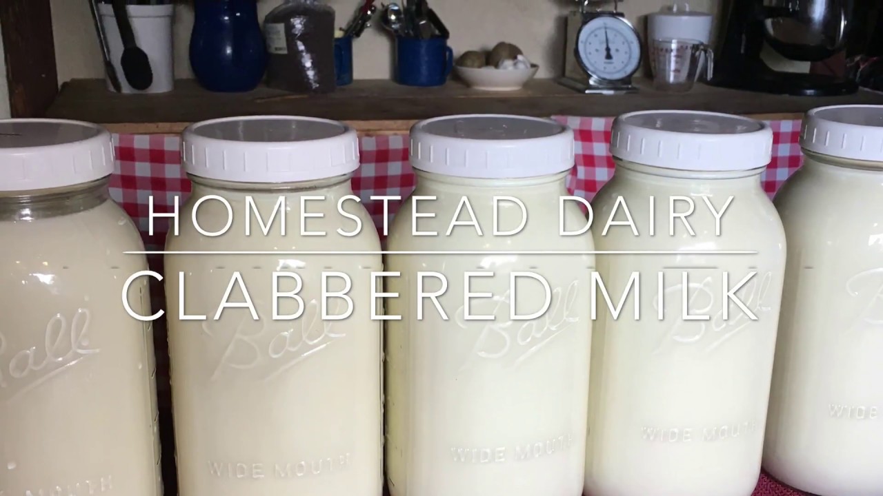 Homestead Dairy - Clabbered Milk - YouTube