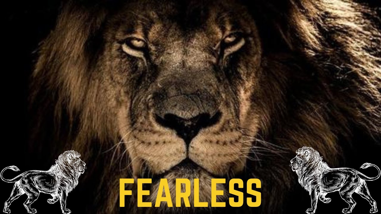 Lion Attitude Fearless Lion 🦁 King Of The Jungle Short Powerful ...