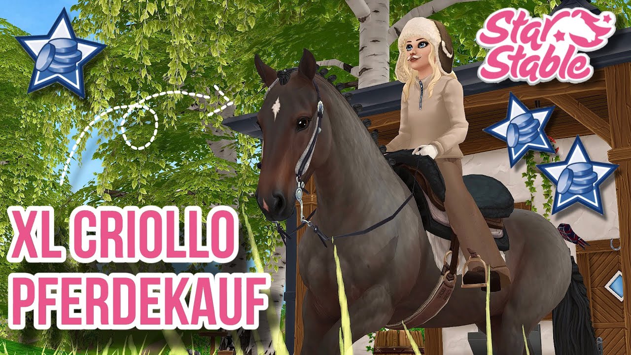 ESKALATION!😨 XL Criollo PFERDEKAUF🤭💸 // Star Stable Online - YouTube