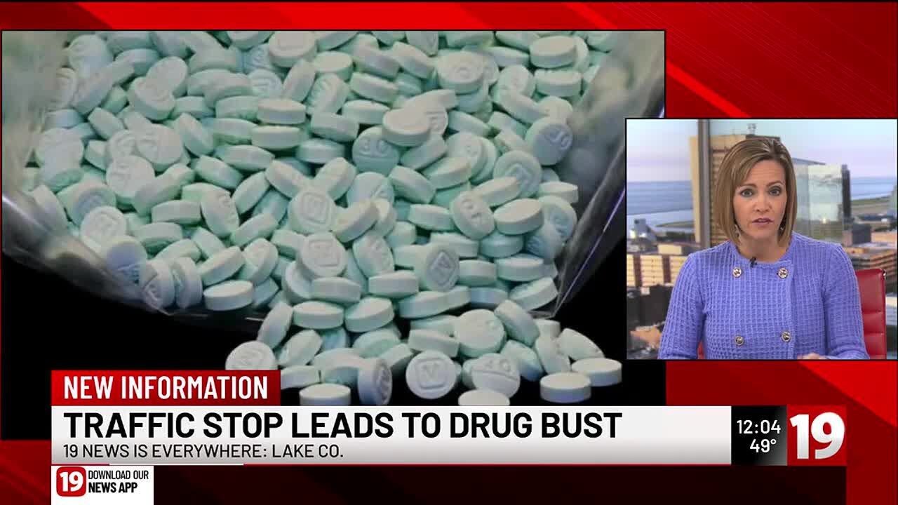 Lake County traffic stop turns over 325 fake pills - YouTube