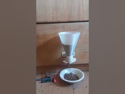 DIY Automatic Pet Feeder with Arduino #arduinoproject #viral - YouTube