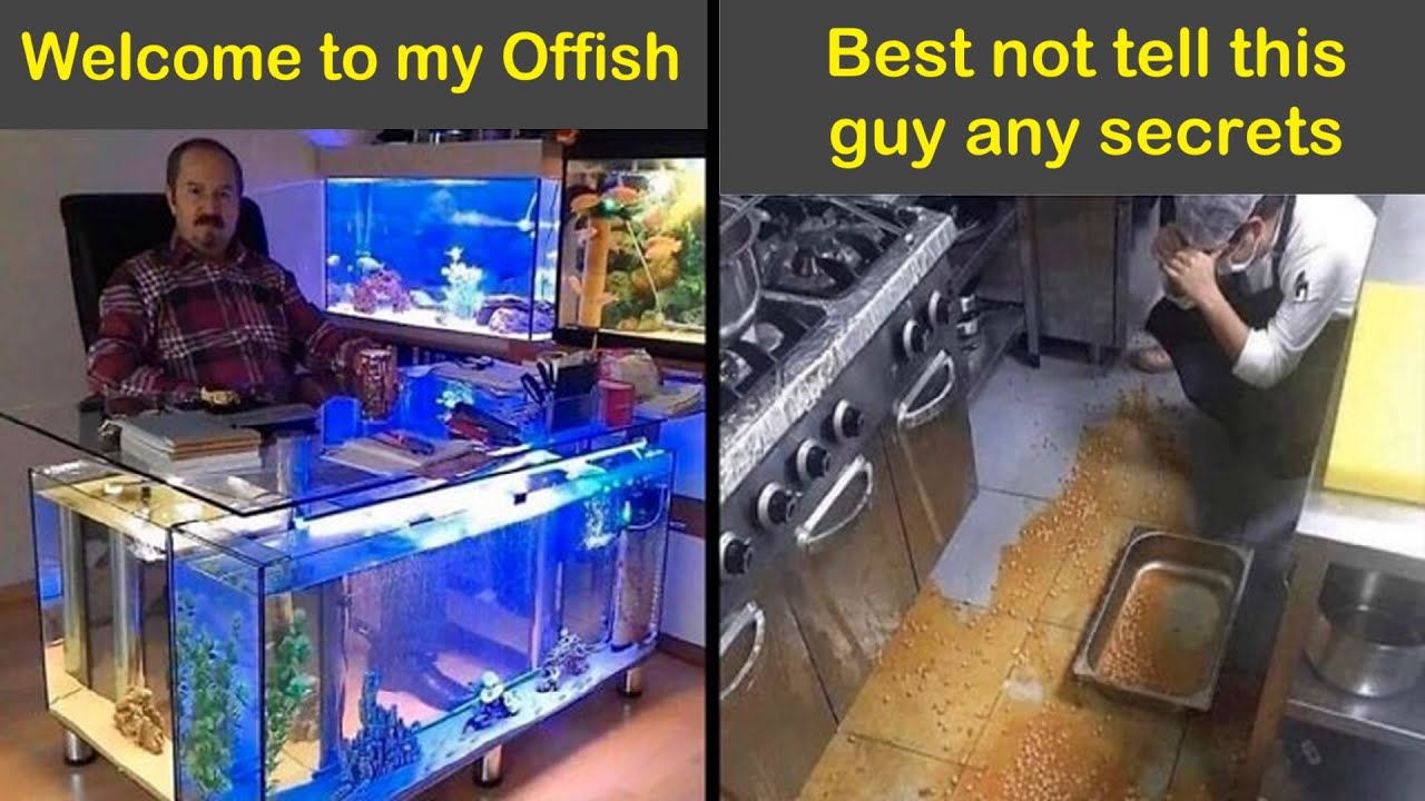 Hilarious Pun Memes That Prove Wordplay Is the Best Kind Of Comedy ...