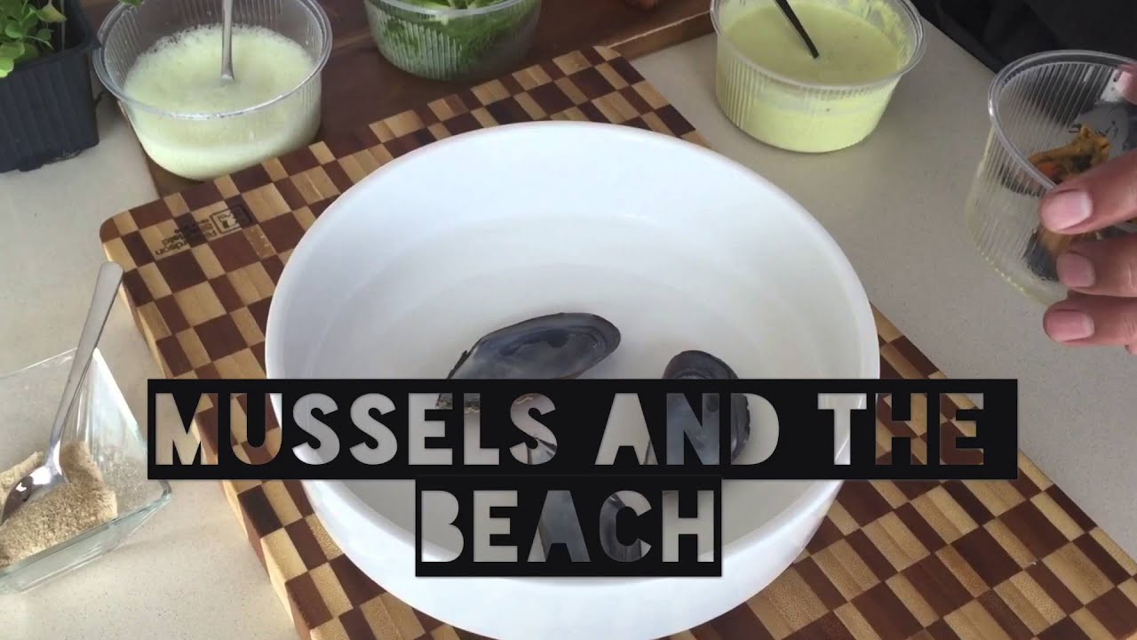 Art of plating Mussels in the Beach - YouTube