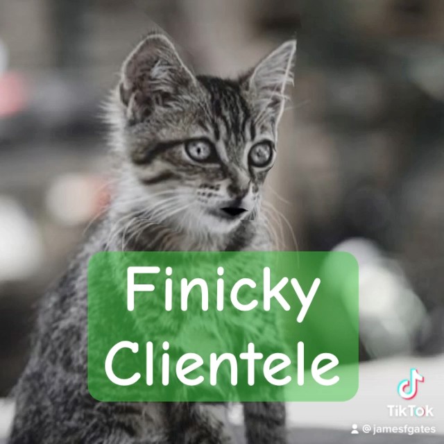 11/26/24 Finicky Clientele - YouTube