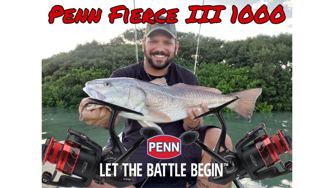 Catching Redfish on Penn Fierce III 1000 - YouTube