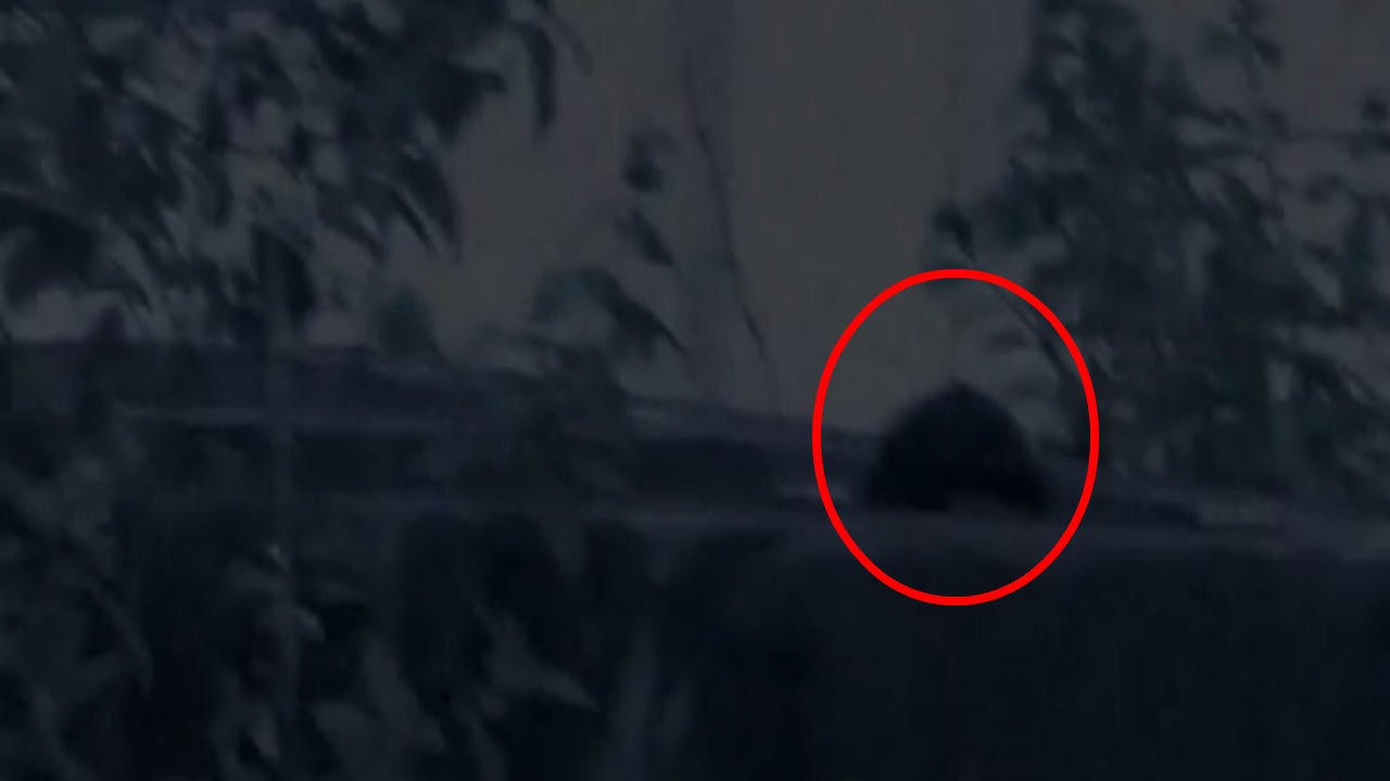 True and Real Ghost Sightings 2015 | Ghost Caught On Camera | Horrible ...