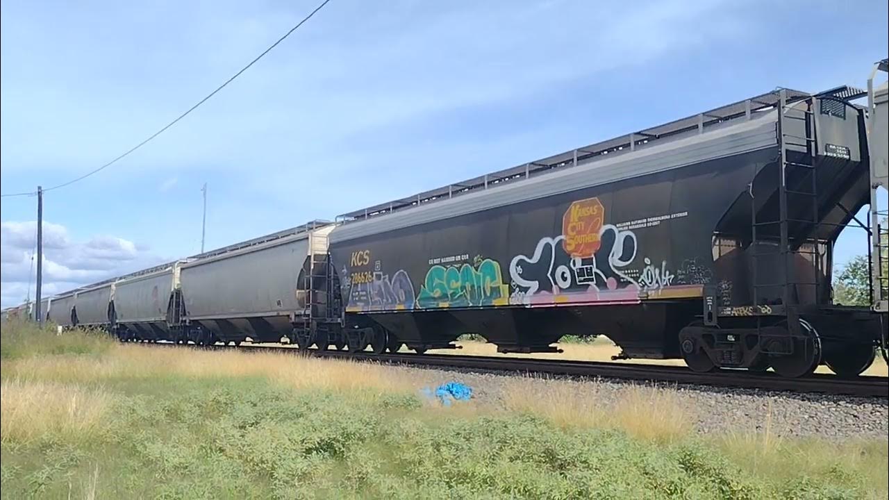 CPKC. KCS GE locomotives pulling grain train. Rear DPU chugging!! Woodsboro, Texas. 11/5/23 ...