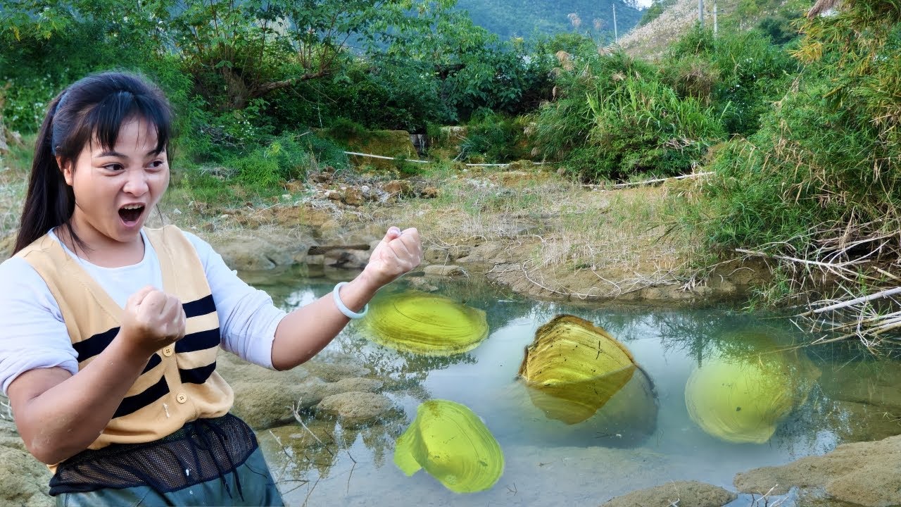 Discovering the confusing golden clam, the pearl was very tempting, and ...