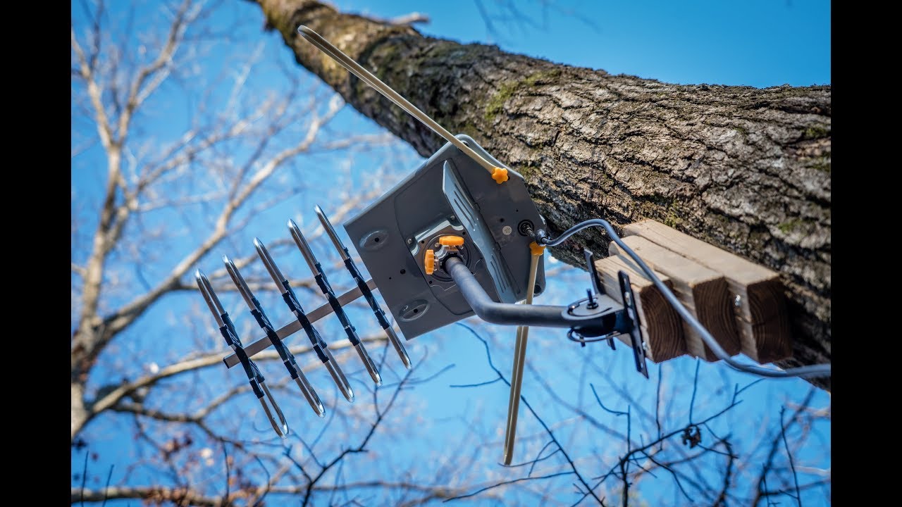 HD TV from a tree - YouTube