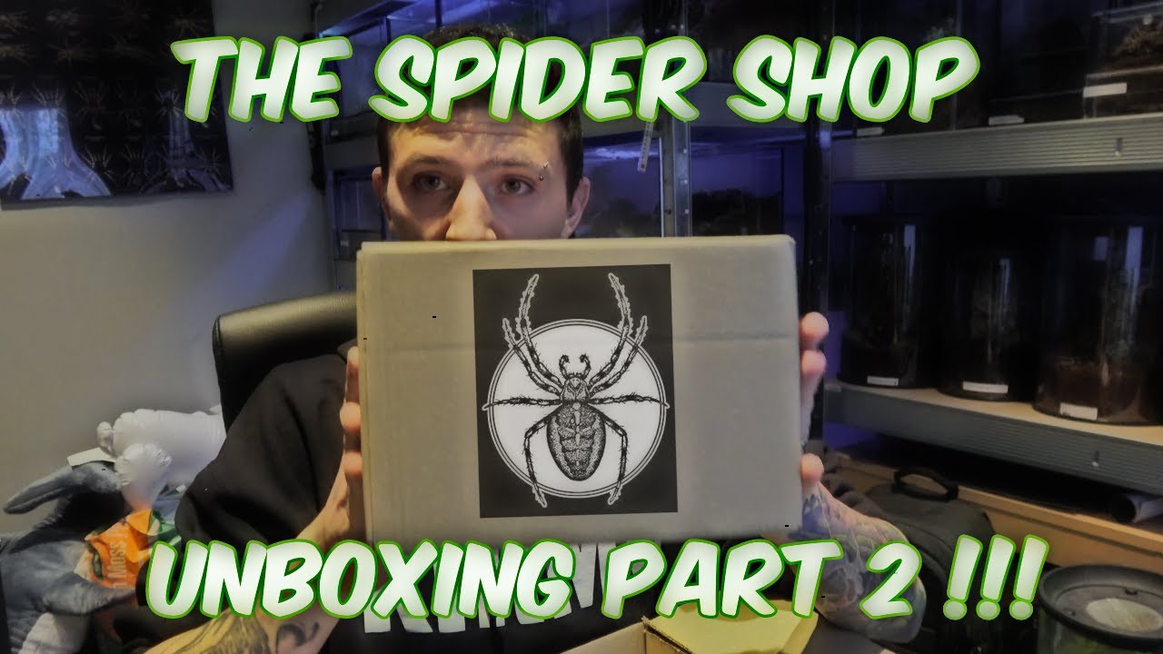 The Spider Shop Unboxing PART 2! - YouTube