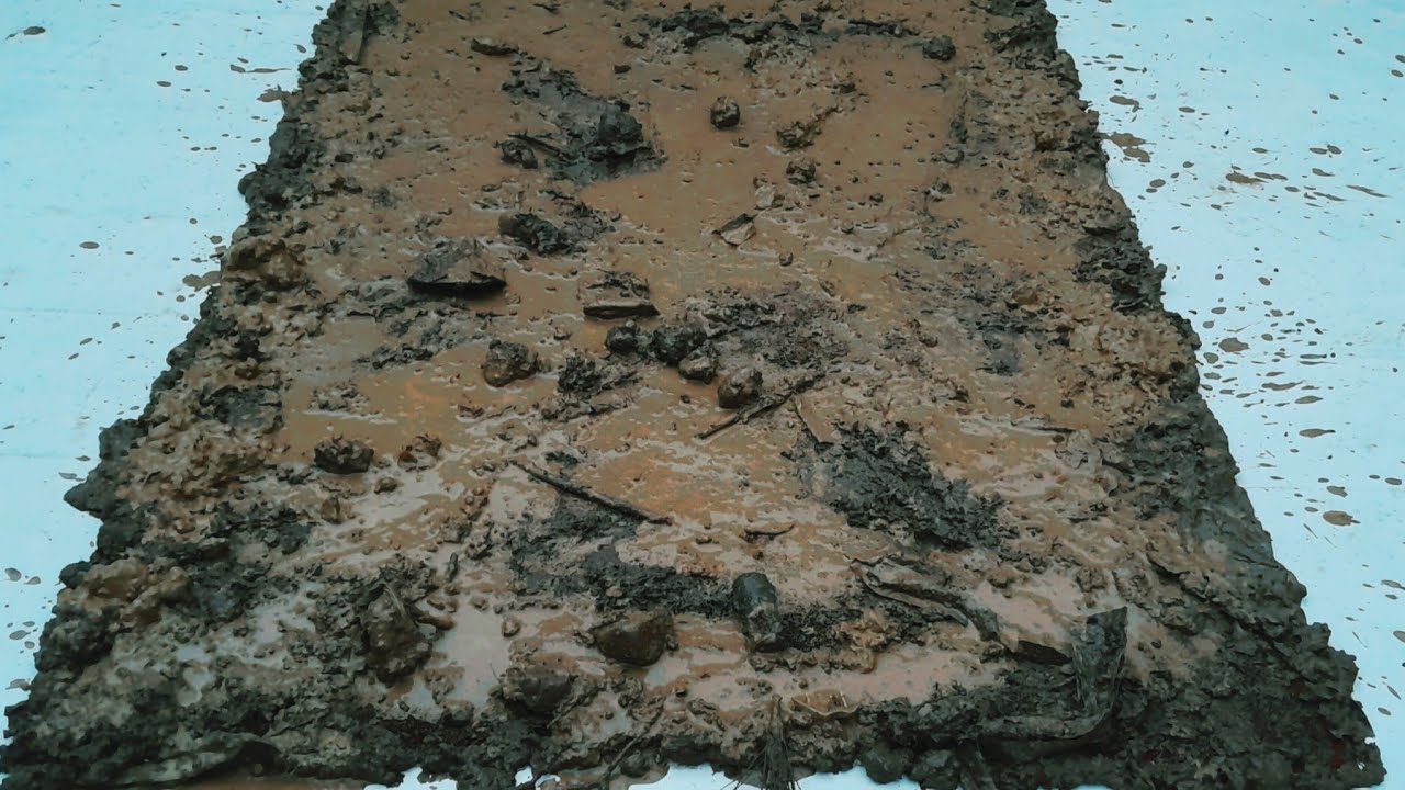 Home carpet washing ! the best professional mud carpet tricks with ...