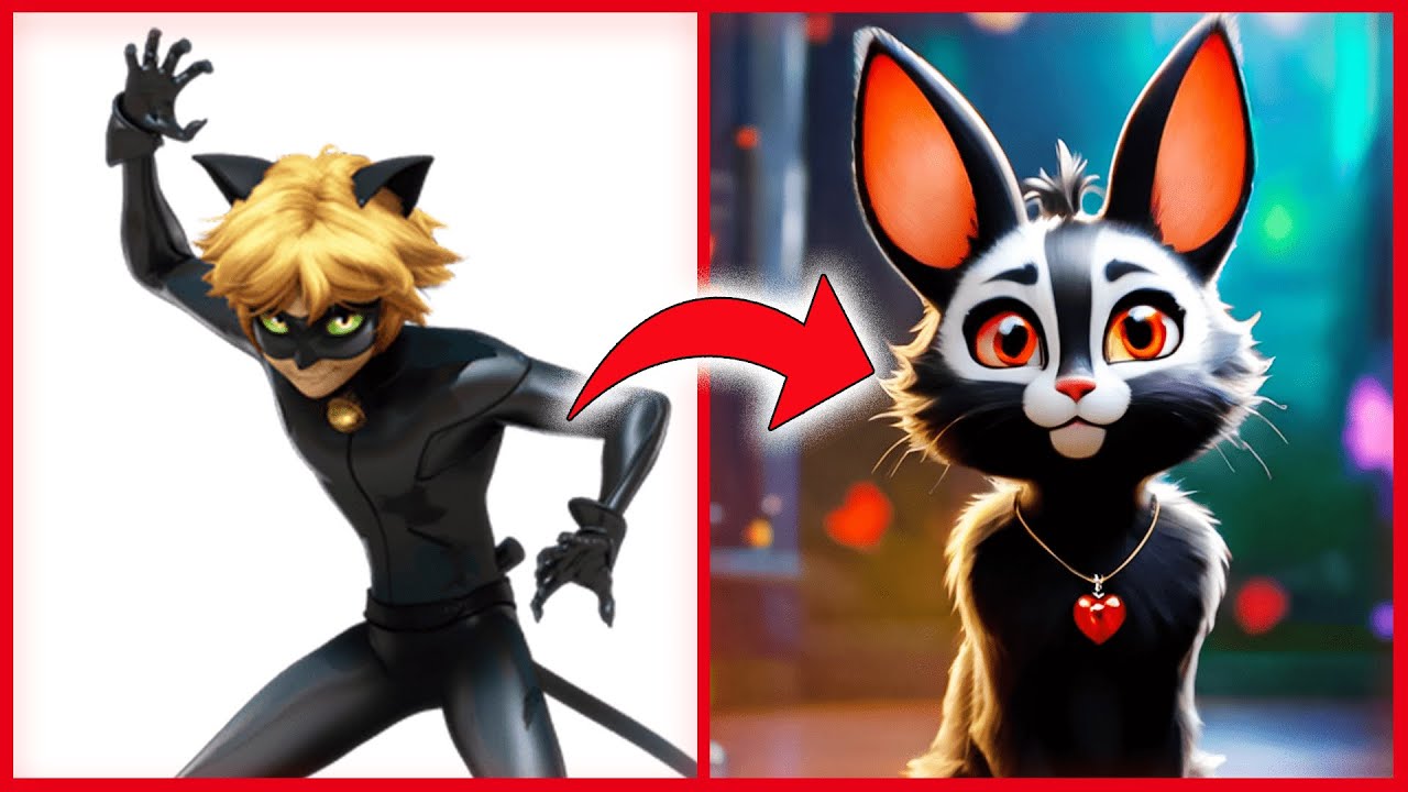 LADYBUG CHARACTERS as CATS AND DOGS 🐱🐶 Compilation - YouTube