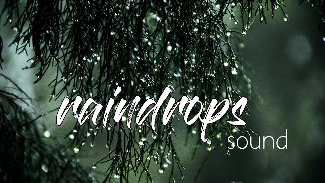 Raindrops Sounds For Sleeping - YouTube