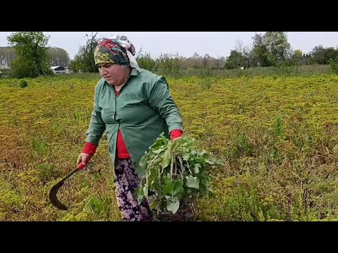 NASIL BİR GÜN GEÇİRDİM İNANILMAZ DI RANDEVUYU BİLE İPTAL ETTİM #keşfet #köy #koyvlog 