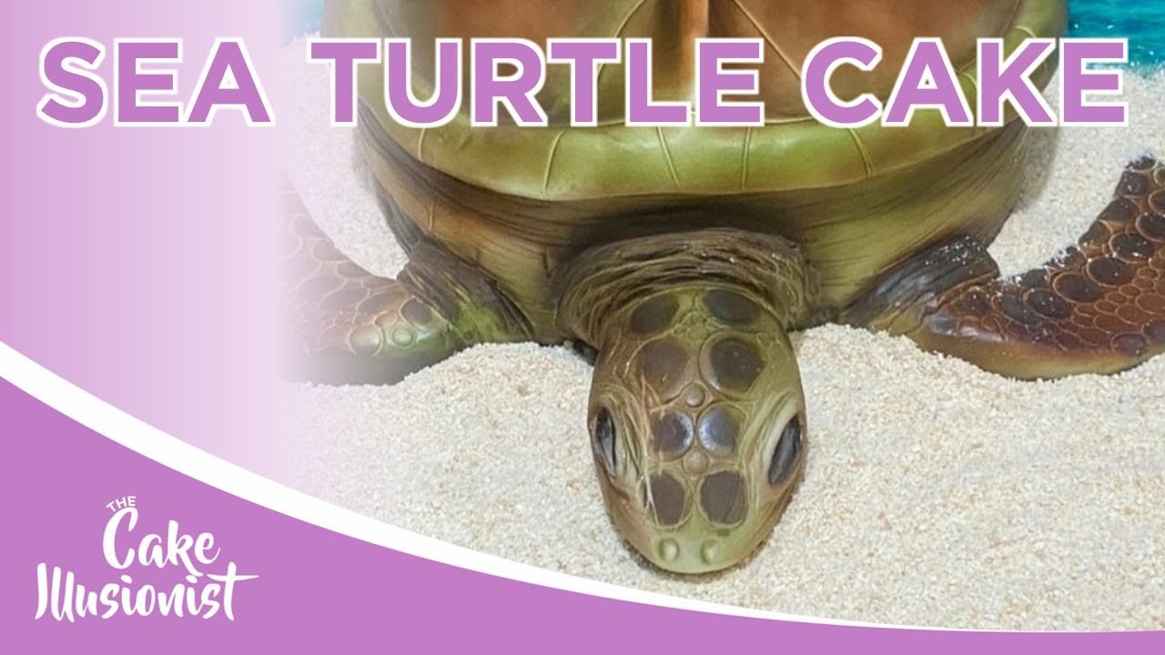 Sea Turtle Cake | The Cake Illusionist sculpting & airbrush - YouTube