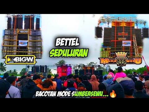 detik-detik bettel seduluran MAHAMERU VS BIGW,full bacotan ala sumbersewu 🔥 - YouTube