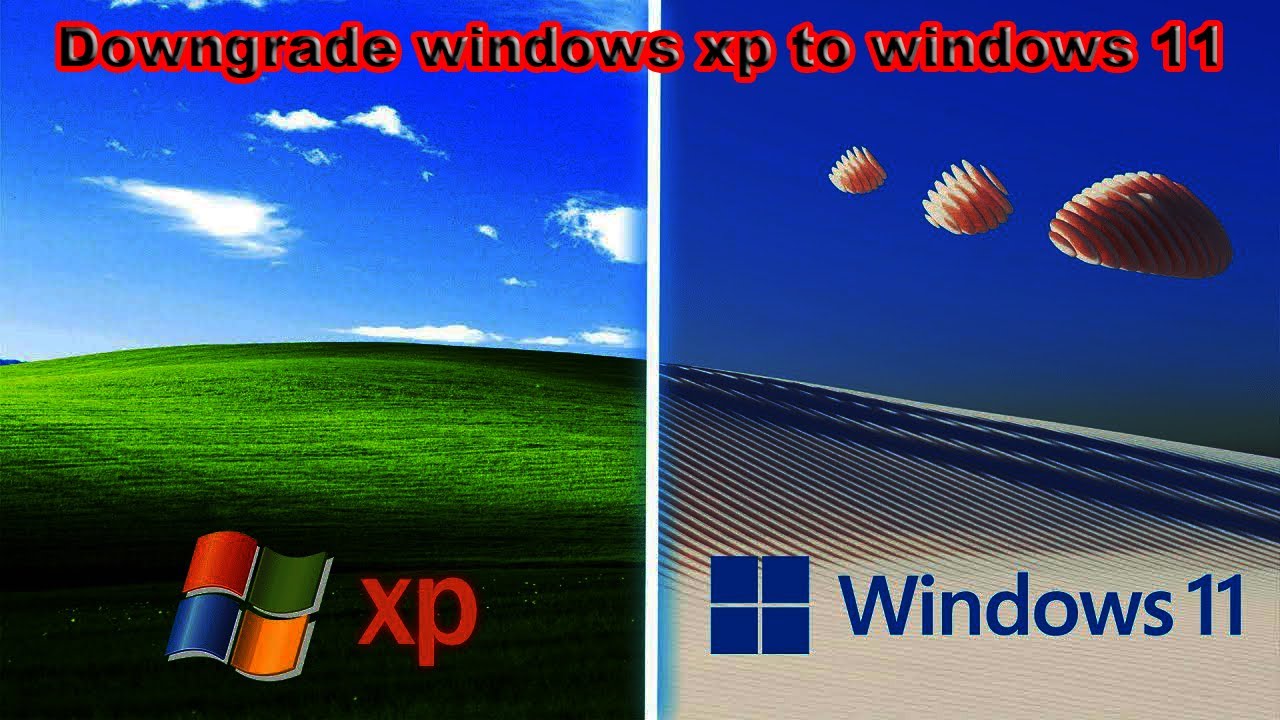 Downgrade windows 11 to windows XP - YouTube