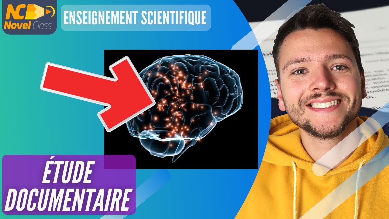 Aire auditive chez les aveugles et les voyants - Enseignement ...