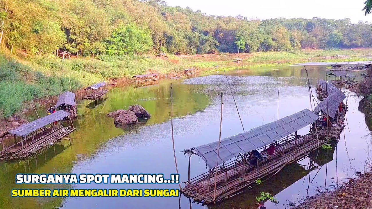 DARI SUMBER AIR INI..!! IKAN IKAN DIWADUK CIRATA PADA BERTAHAN DISINI ...