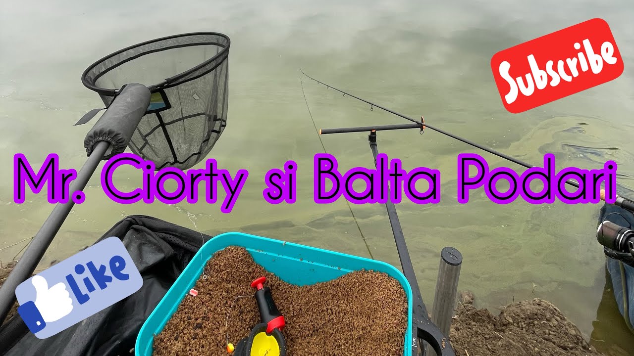 Partida 2 de pescuit la method feeder pe Balta Podari. Pareri despre ...