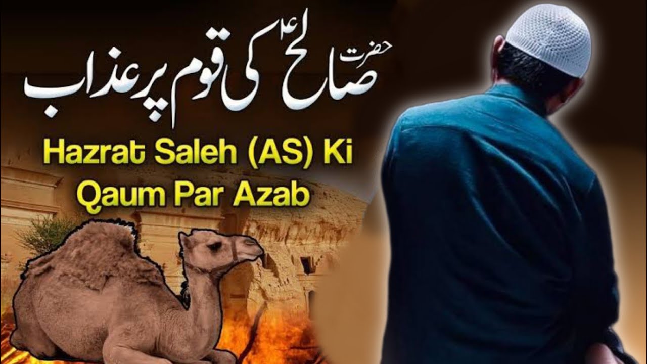 Swaleh Alaihissalam Ki Ootni || Camel Of Swaleh Alaihissalam || Great ...