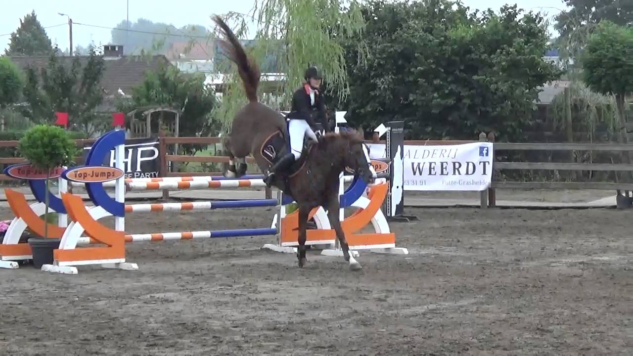 Chadia - 1m10 @ HGVBB Jumping With Love - Kampenhout - YouTube