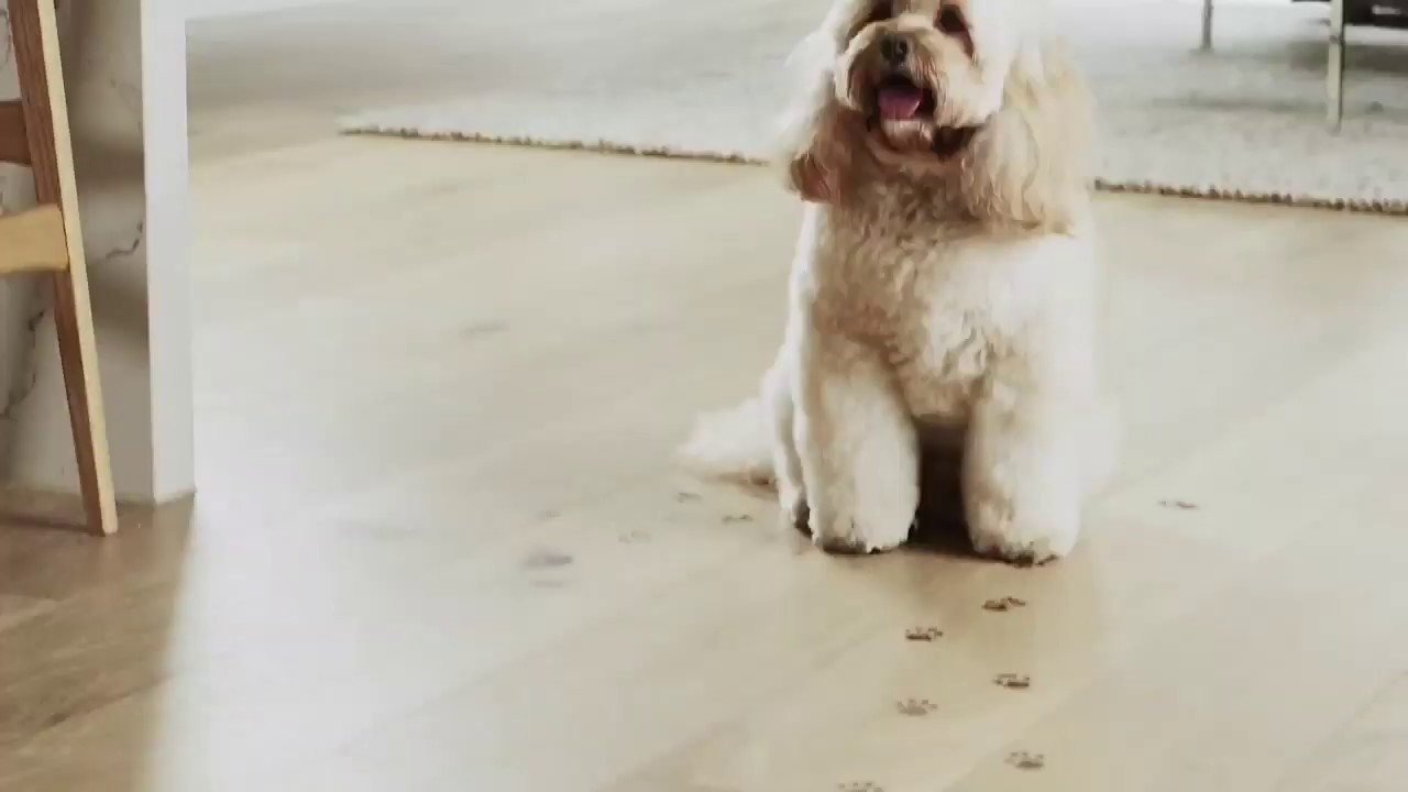 SAB31074 - Sabco Spray Mop TV Commercial - YouTube