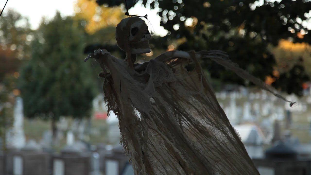 How you (and your pet!) can be buried at the Congressional Cemetery ...
