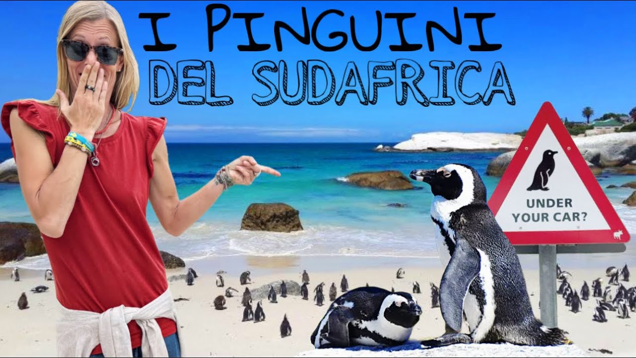 L’ANIMALE PIÙ BUFFO DELL’AFRICA 👉🏻🇿🇦 Overlanding Africa - YouTube