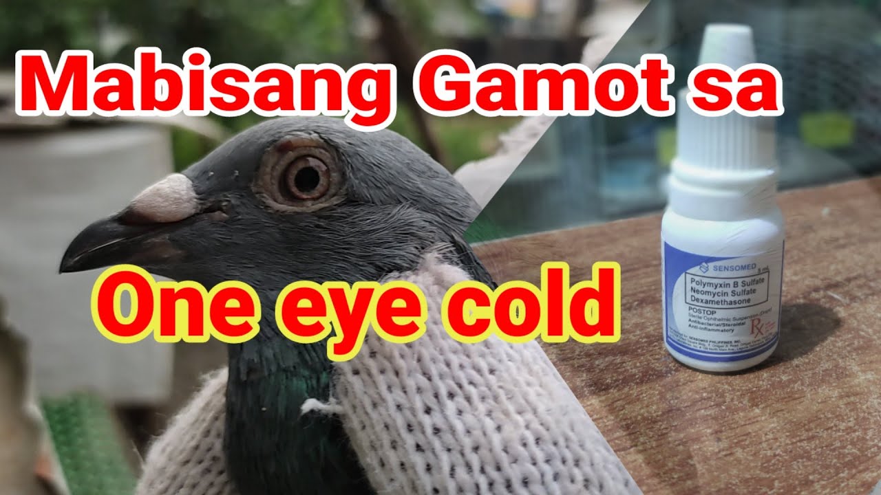 Sobrang effective na gamot | sa one eye cold | Nang kalapate | - YouTube