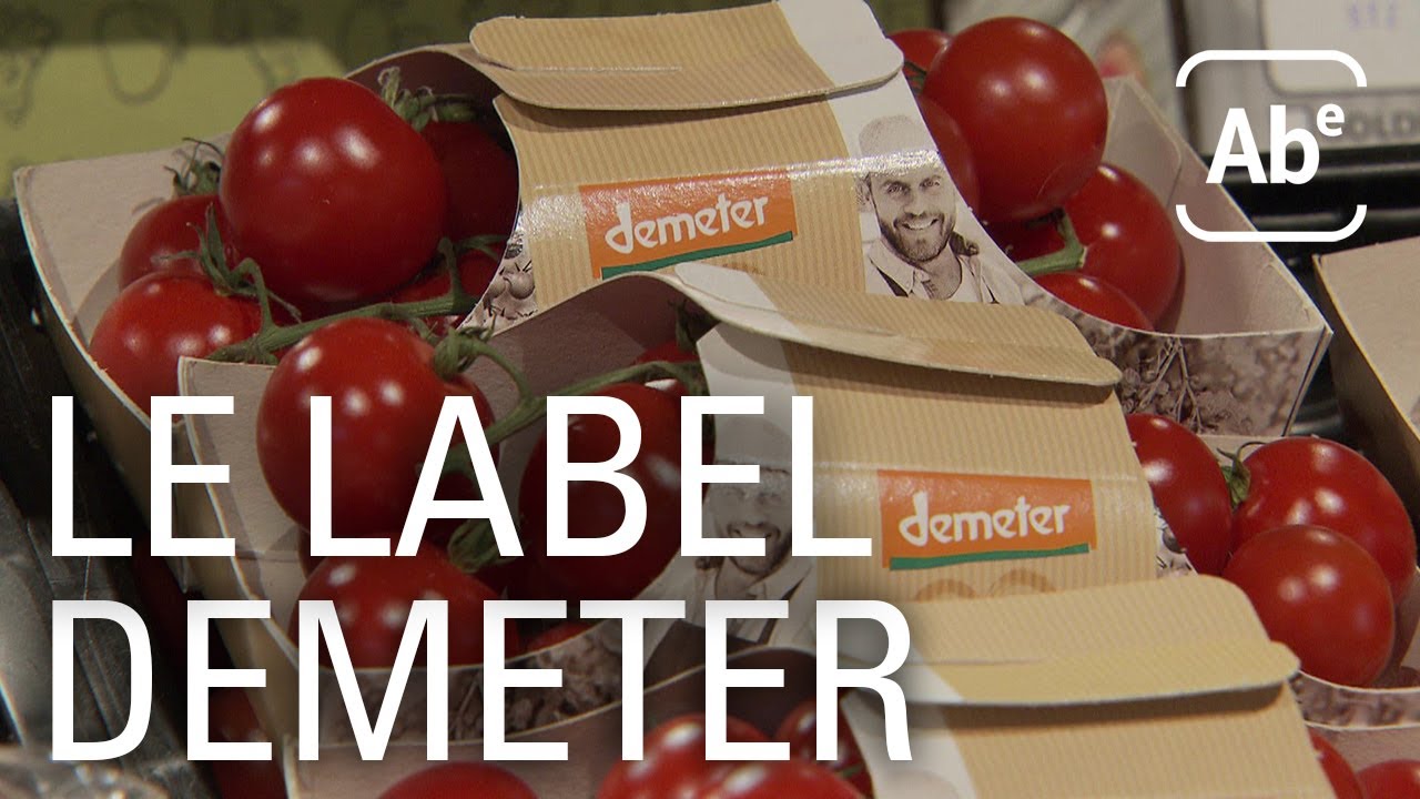A Bon Entendeur | Demeter, les secrets d'un label - YouTube