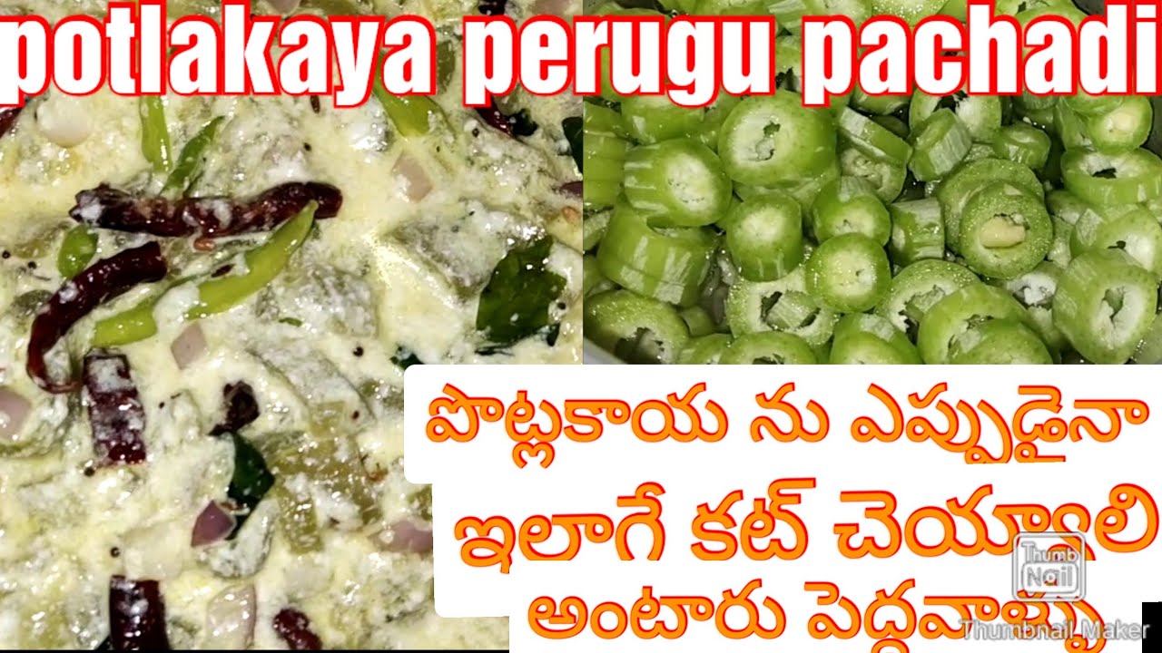 పొట్లకాయ పెరుగు పచ్చడి || How to prepare potlakaya perugu pachadi in ...