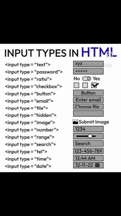 Input type in HTML👍 - YouTube