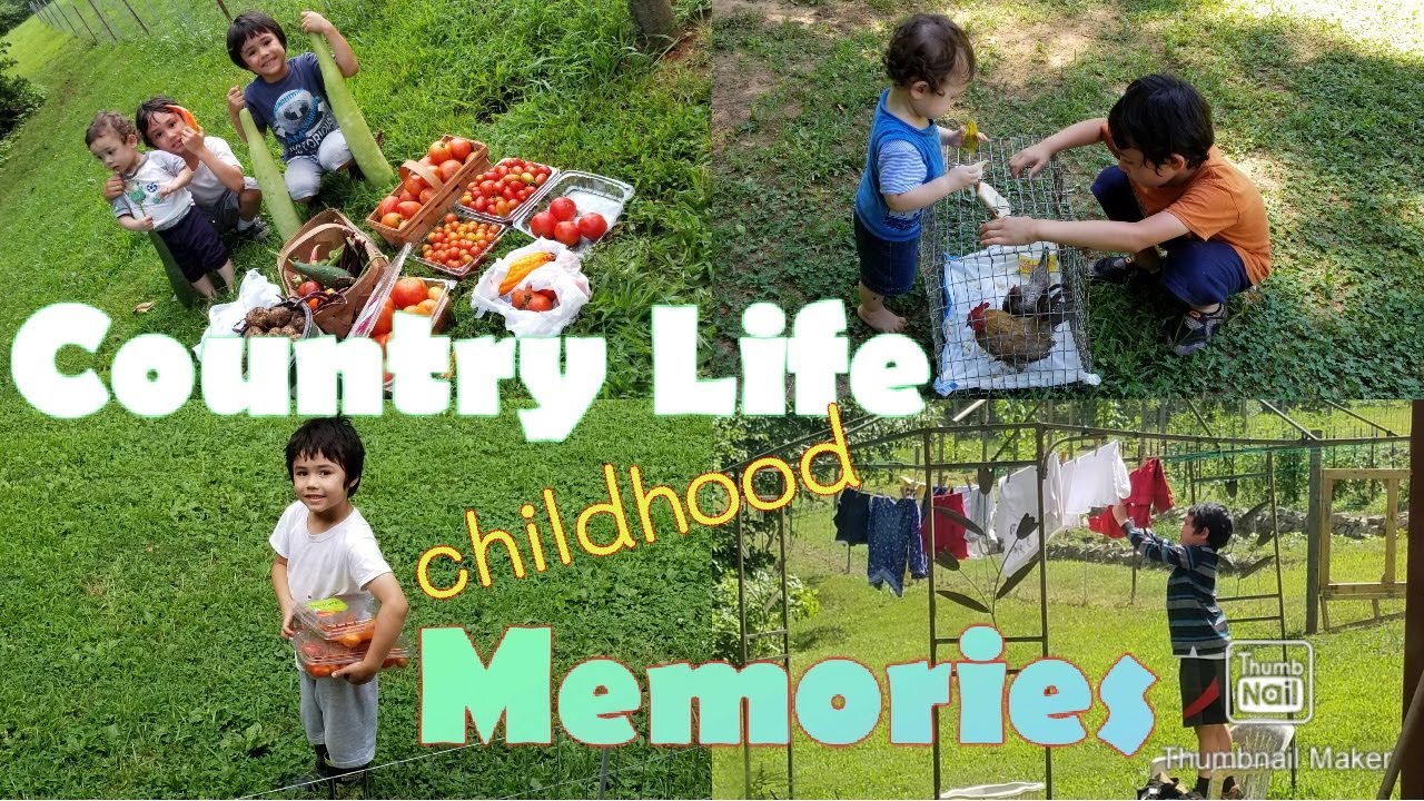 Countryside Life || Kids Fun Activities Compilation - YouTube
