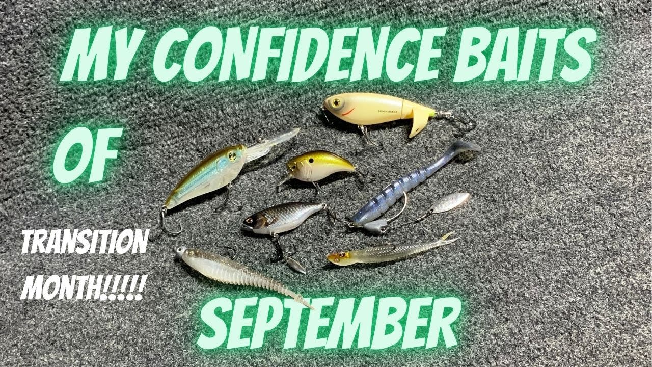 Top “BEST BAITS” For September Bass Fishing!!!! - YouTube