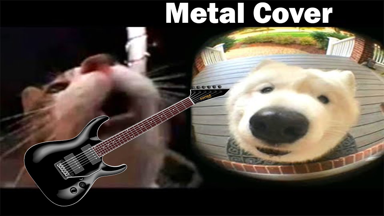 A Sad Cat and Dog song - Metal Cover - YouTube