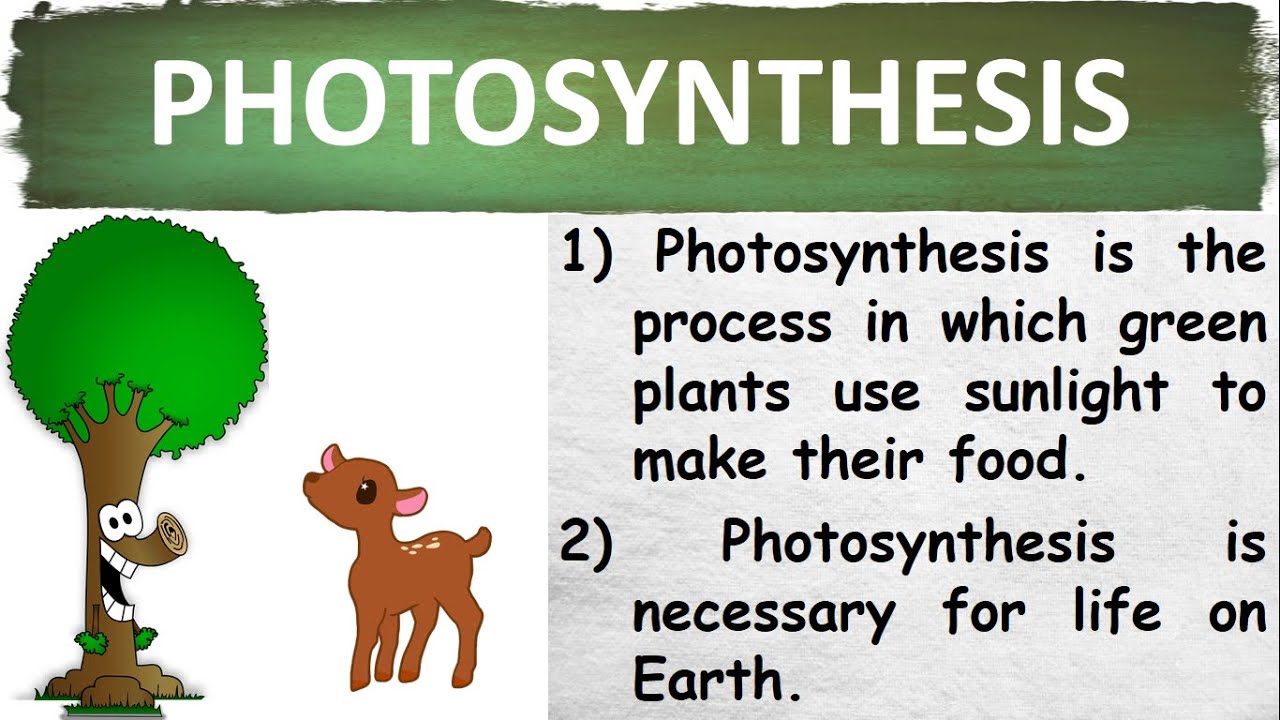 10 Lines on Photosynthesis in English | Few Sentences about ...