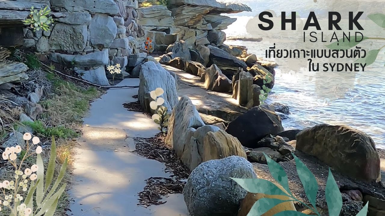 Shark island, Sydney Australia - YouTube
