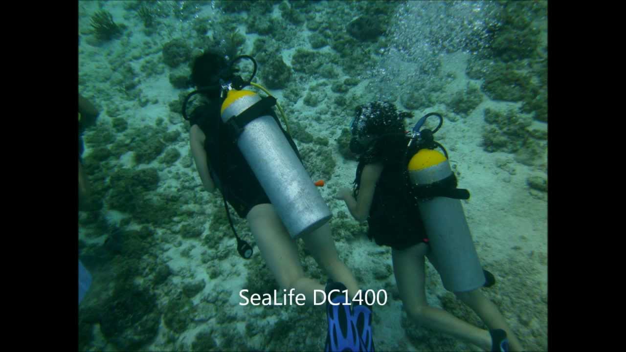My daughter and her friend doing the Discover Scuba Dive Jun/23/2013 ...