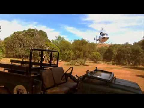 Wild at Heart Series 2 Episode 9 Part 5