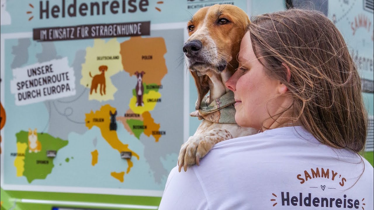Streunerdorf in Bosnien und Herzegowina „Stray Village“ 🐶♥️ - YouTube