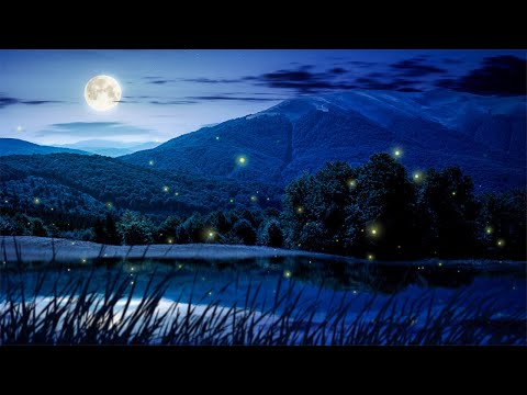 Relaxing Sleep Music and Night Nature Sounds: Soft Crickets, Relaxing Piano, Deep Sleep Music